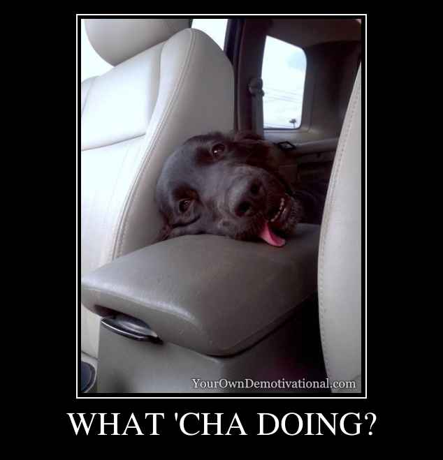 WHAT 'CHA DOING?